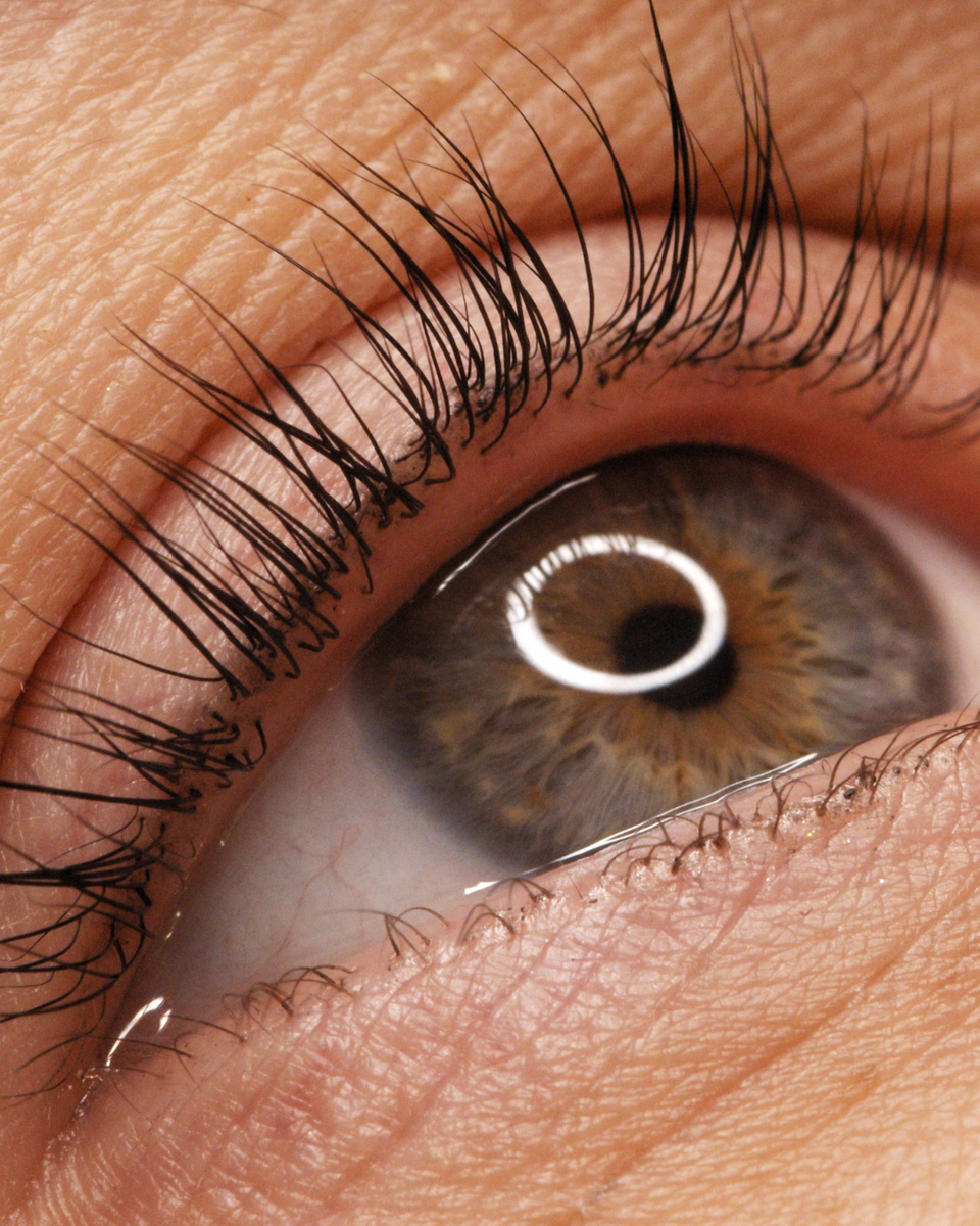 LASH LIFT ET COLORATION DES CILS – Concept Beaute